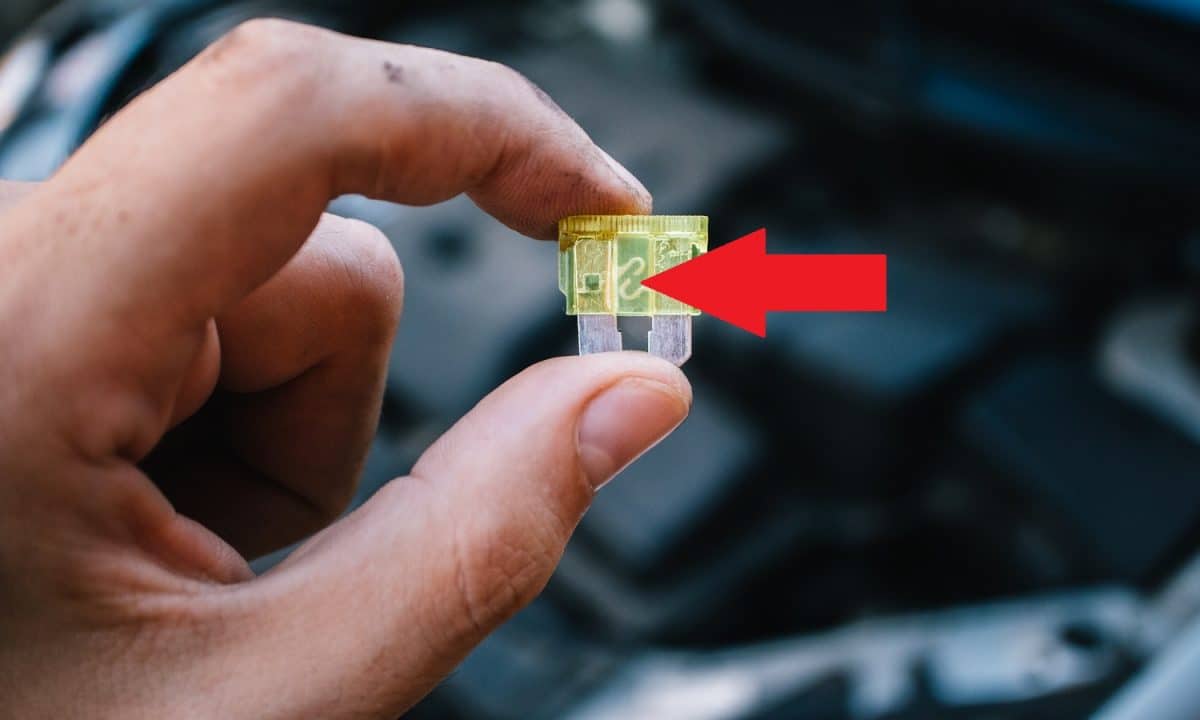 Fusibles de voiture : fonction, où ils se trouvent, types et comment ...
