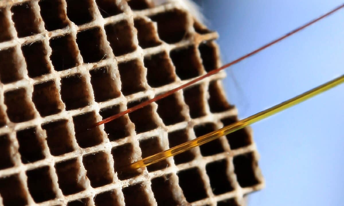 Catalizador del coche: para qué sirve, funcionamiento y averías