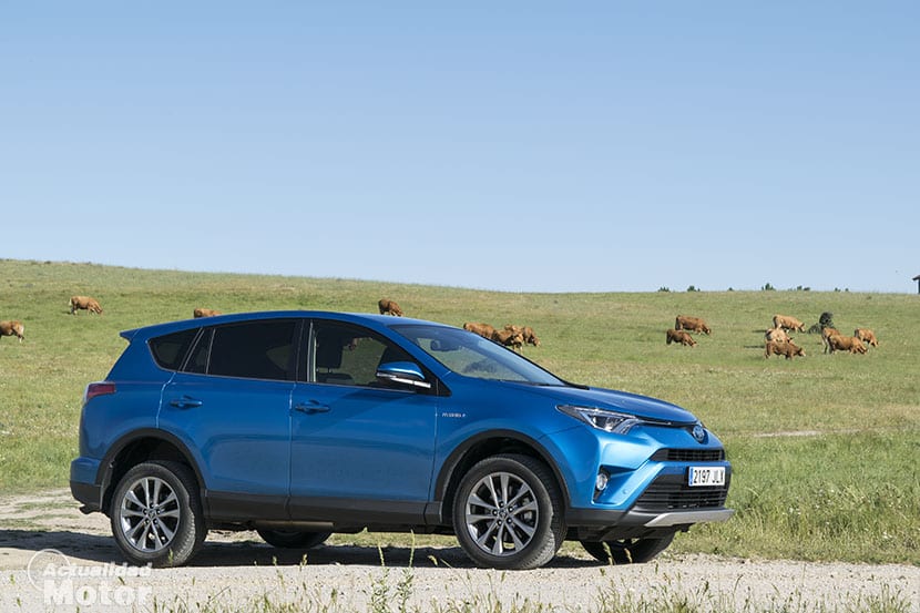Essai Toyota RAV4 Hybrid, le SUV devient hybride