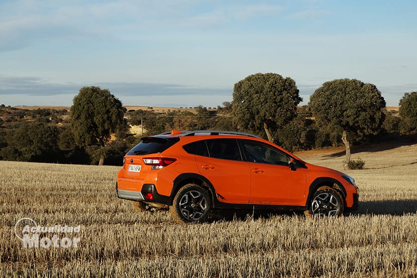 Try Subaru XV, this one is a real all-rounder