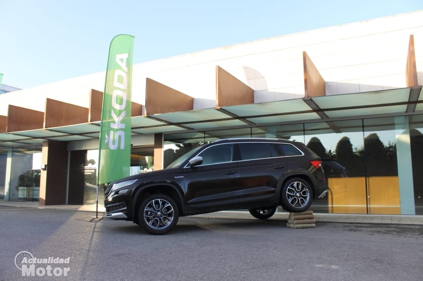 Skoda SUV range test: the Karoq and Kodiaq grow in the open field
