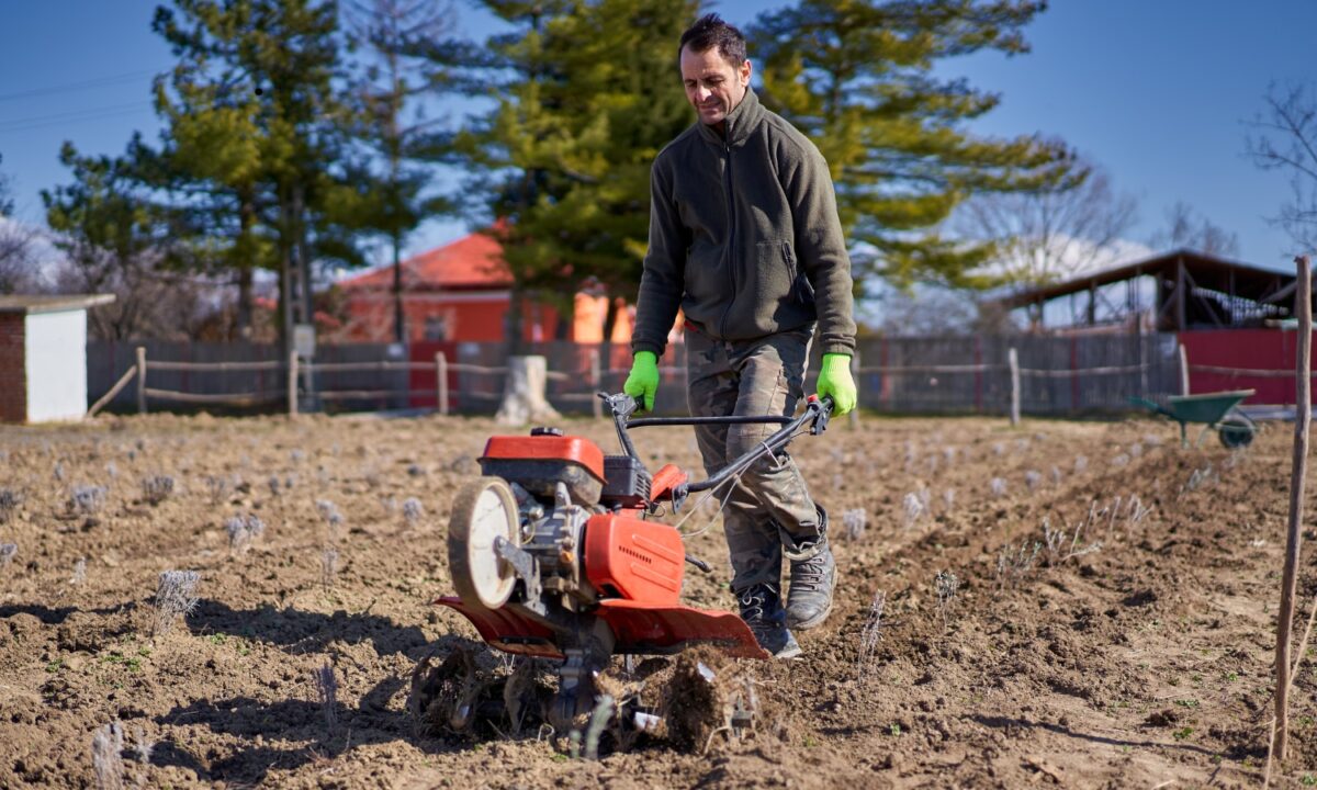 OHV or overhead valve engine: what it is and what advantages it has