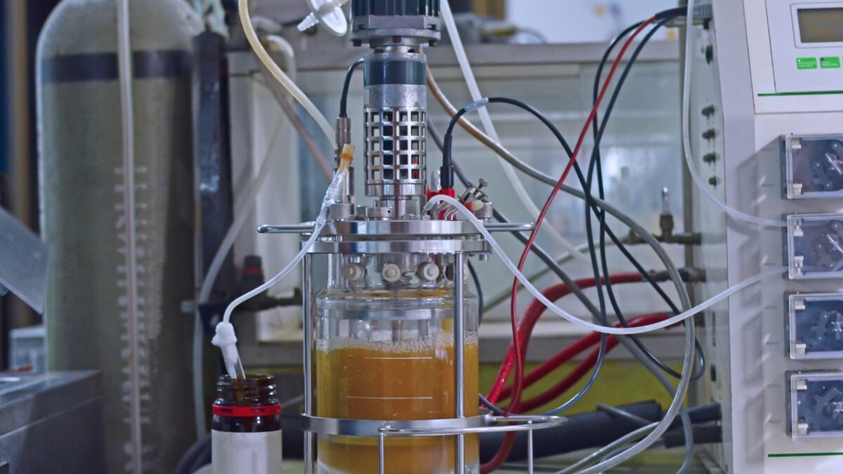 Production d'éthanol : tout ce qu'il faut savoir