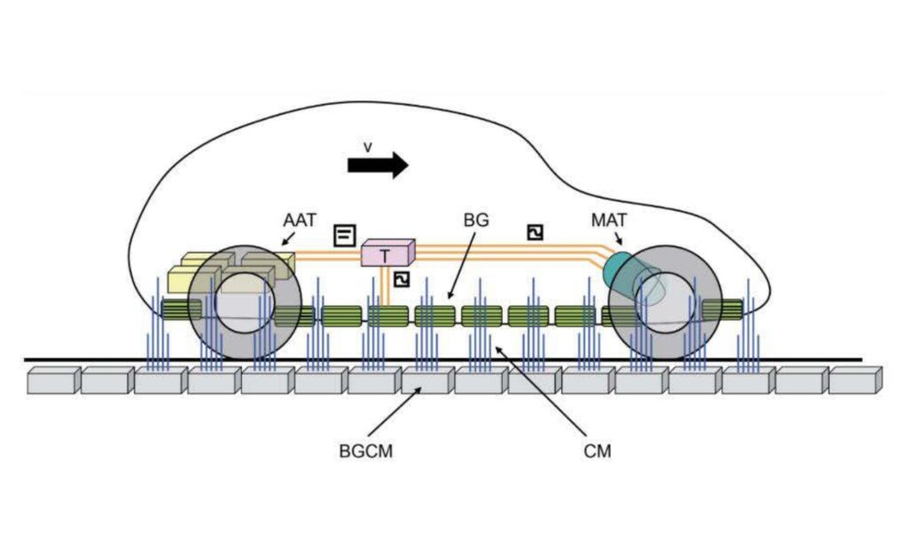 Carga dinámica en carretera ¿y si no hicieran falta cargar los eléctricos?