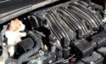 Cómo actuar si un gato se mete en el motor de tu coche: Consejos y ...