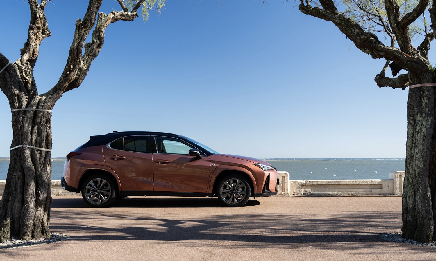 Lexus UX 300h 2025: tutte le migliorie del rinnovato SUV ibrido