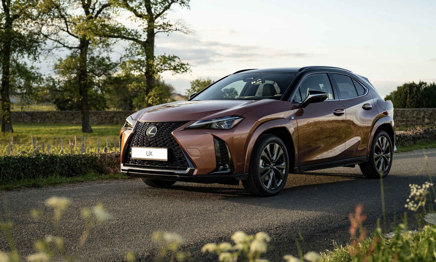 Lexus UX 300h 2025: Todas las mejoras del renovado SUV híbrido