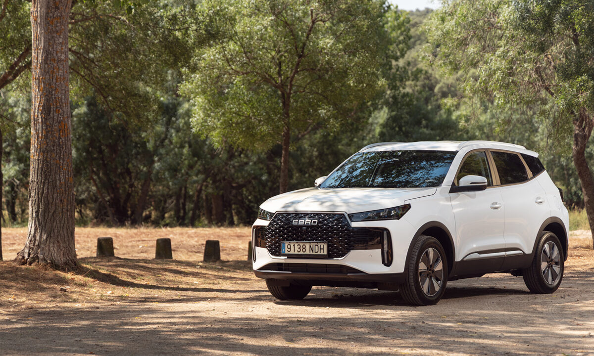 Novedades de Kia para 2025: nuevas versiones eléctricas y restyling del Sportage